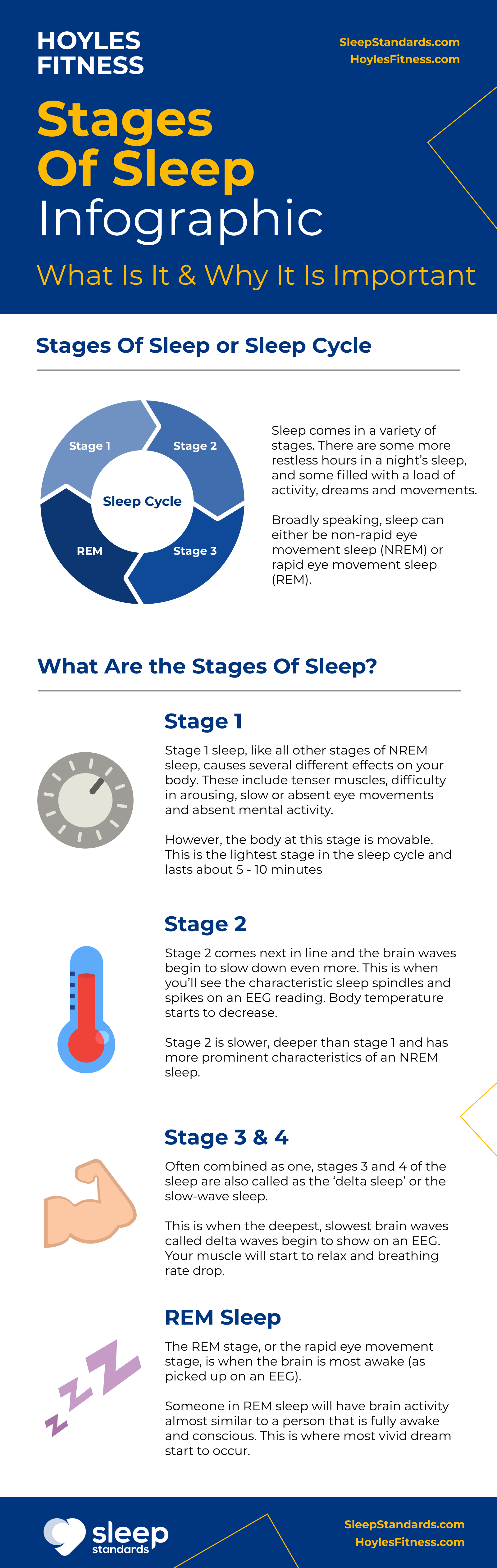 Stages of Sleep: What is it & Why it is Important